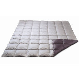 Roland Exclusive Ivy Down Comforter